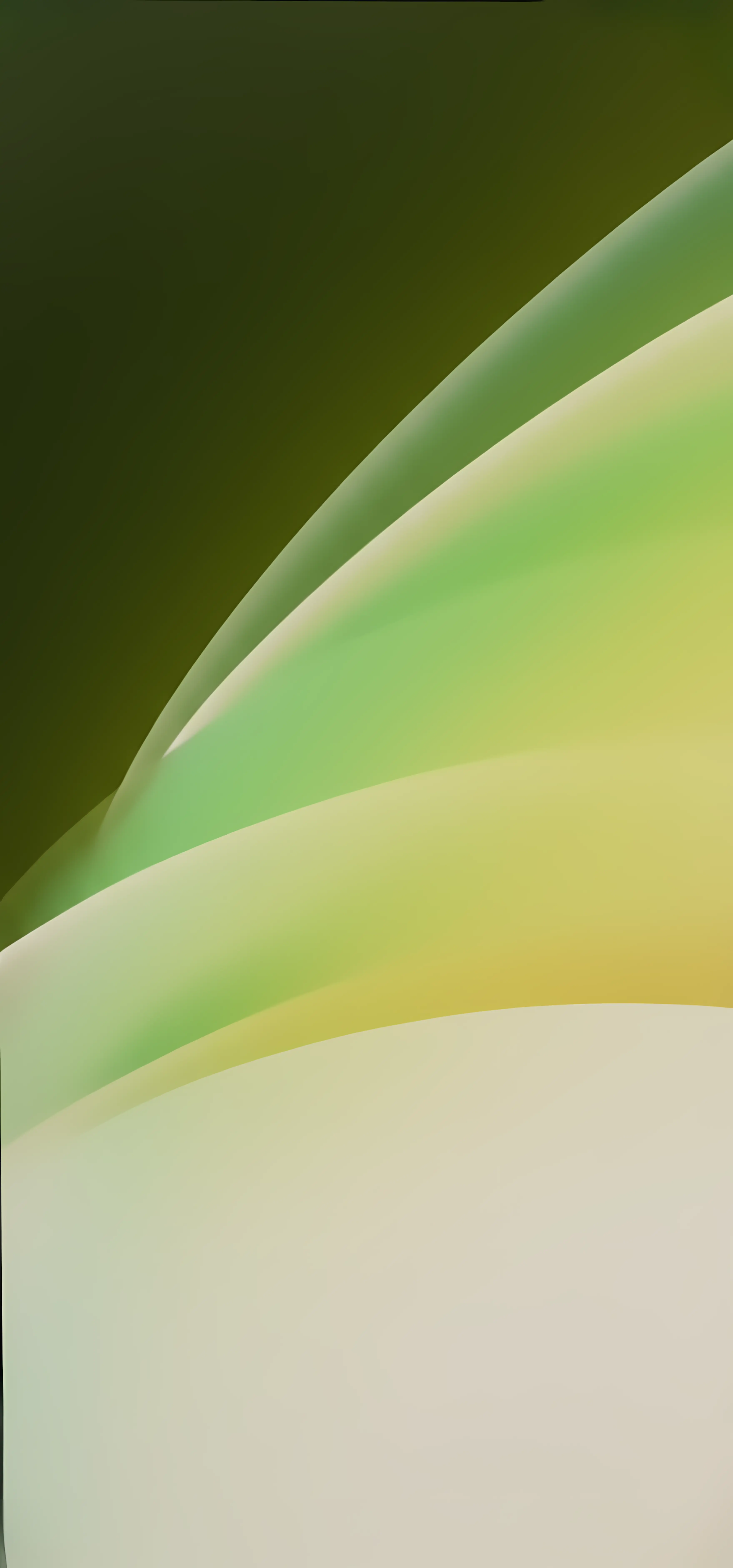 4K Wallpaper Free Download